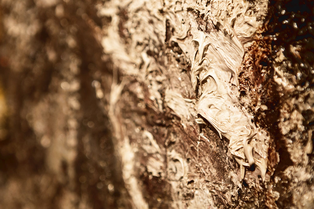 testata_gallery - Marco Bertoli